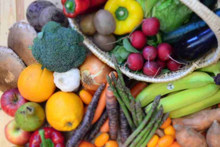 Bio Obst & Gemüse Sommer-Herbst Abo (ca. 5kg) - Bauerntüte